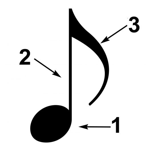 Noten lesen lernen: Noten und Pausen (Tutorial Teil 1)